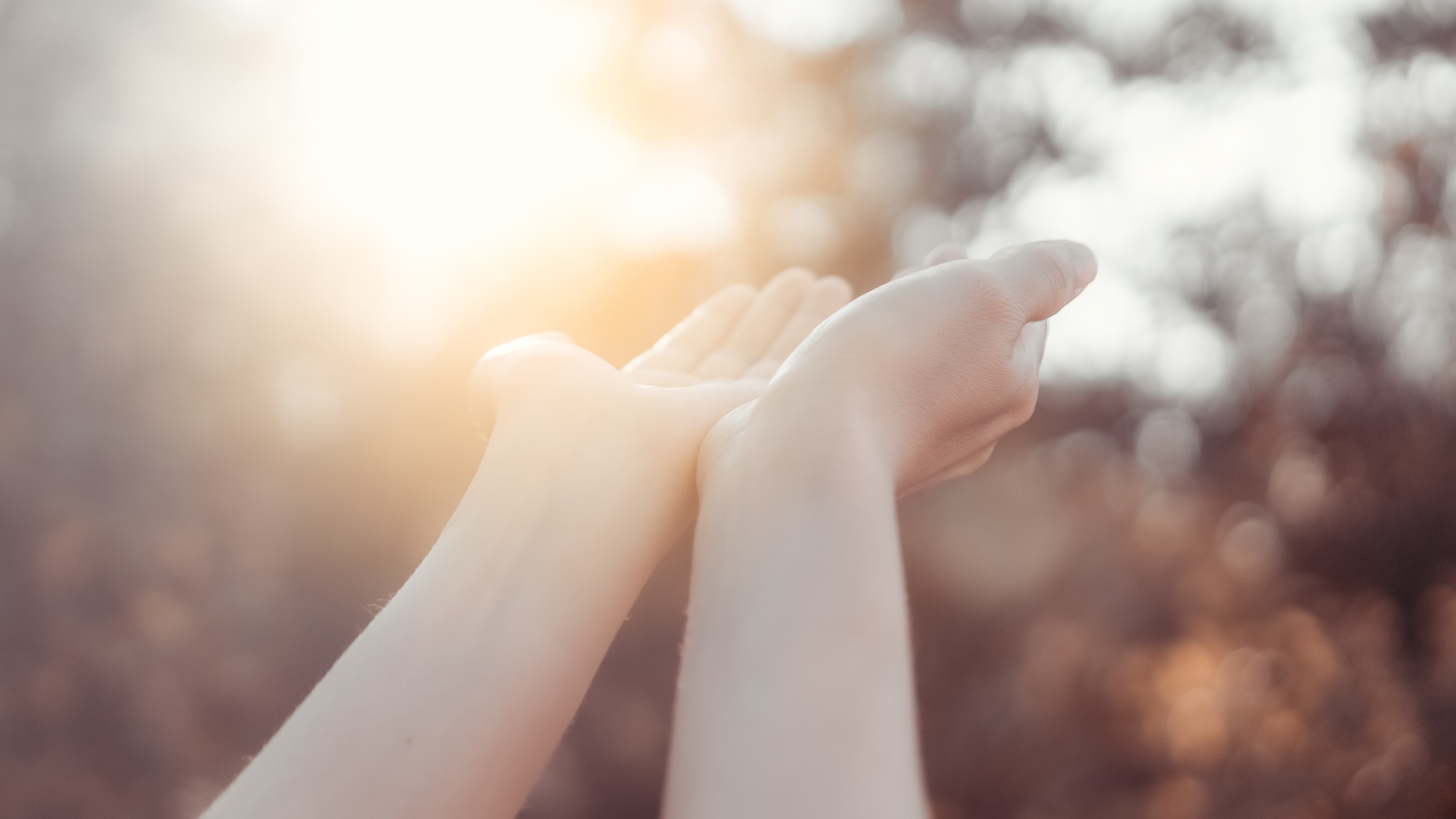 IR情報 | IR情報 | Koito [小糸製作所]